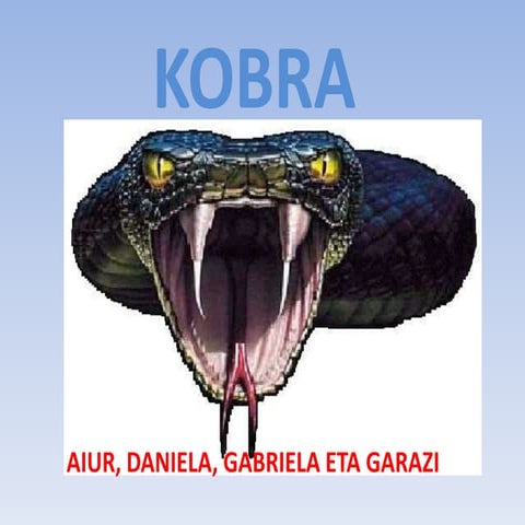 Kobra | PPSX