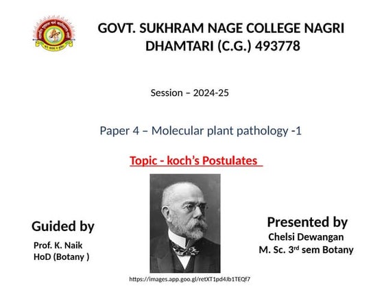 cell Structure of fungi unicellular and multicellular | PPTX