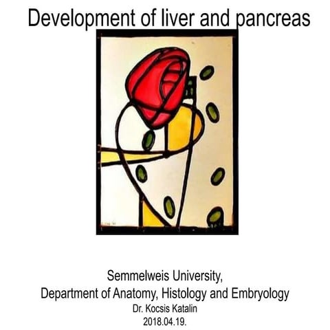 DEVELOPMENT OF EXOCRINE PANCREAS | PPTX