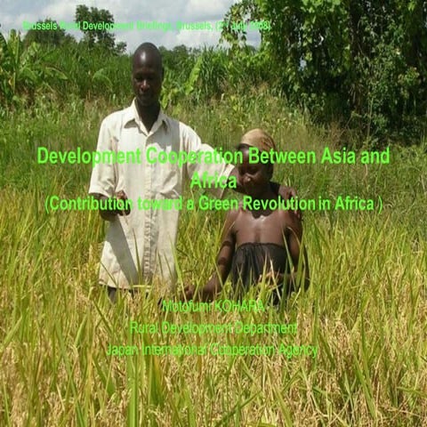 Development Cooperation Between Asia and Africa - Contribution toward a ...