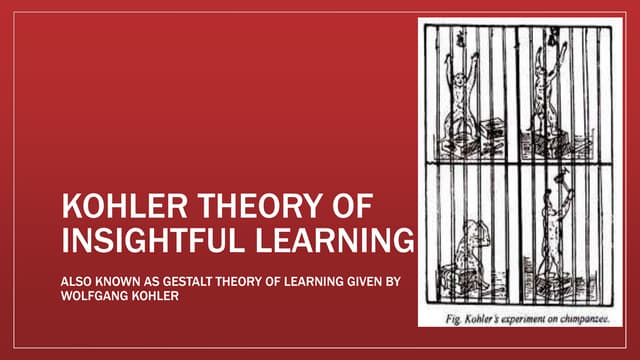 Kohler Insightful learning theory | PPTX