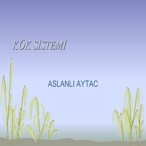 Kok sistemləri | PPTX
