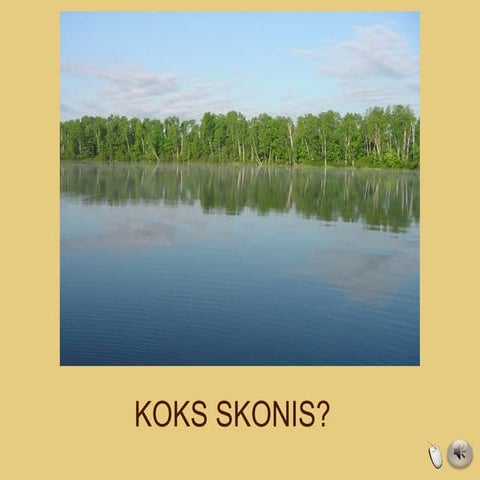 Koks skonis | PPS