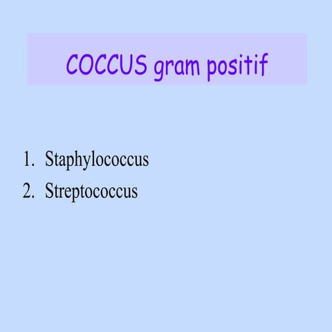 Kokus_gram_positif.ppt