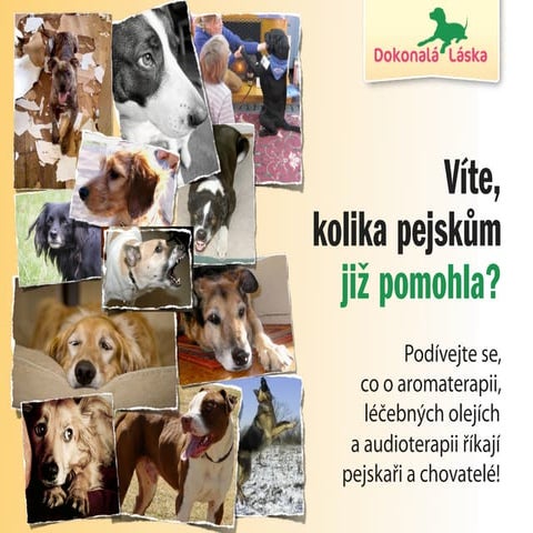 Kolika pejskům pomohla? | PPT