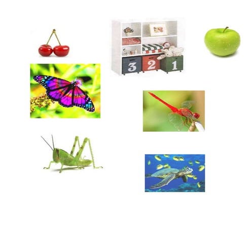 Koleksi rak 1 | DOCX