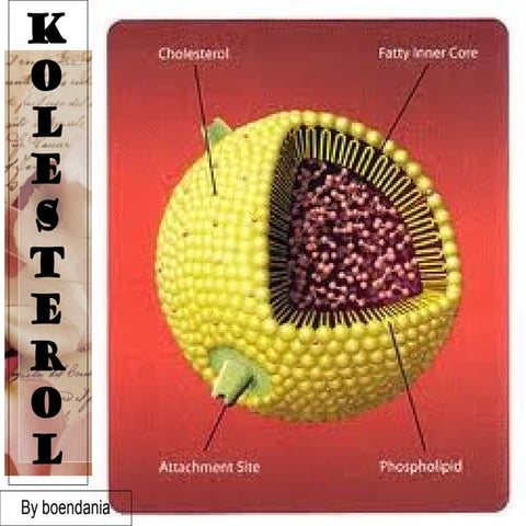 Kolesterol | PPT