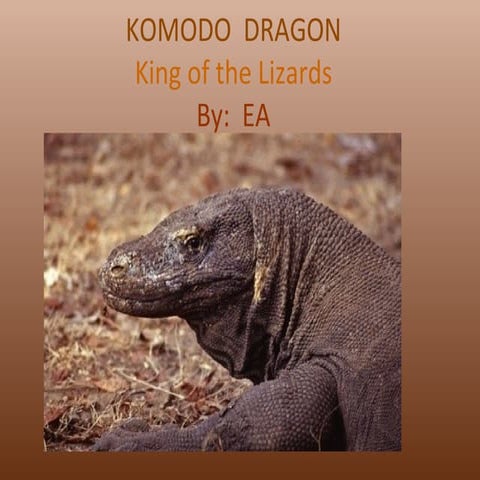 Komodo Dragon I PPT | PPTX