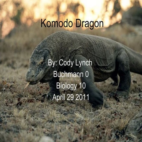 Cody Lynch Komodo dragon | PPT