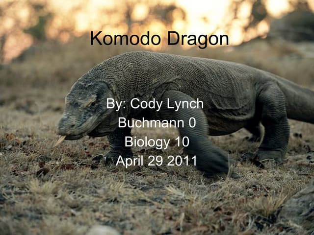 Komodo Dragon I PPT | PPTX | Reproductive Health | Diseases and Conditions