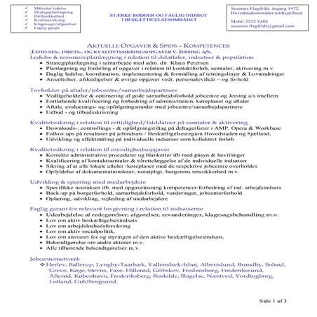 Kompetence Cv Susanne Flagfeldt | PDF