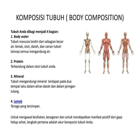 buku panduan WHO antro untuk mahasiswa perkuliahan kepererawatan ...