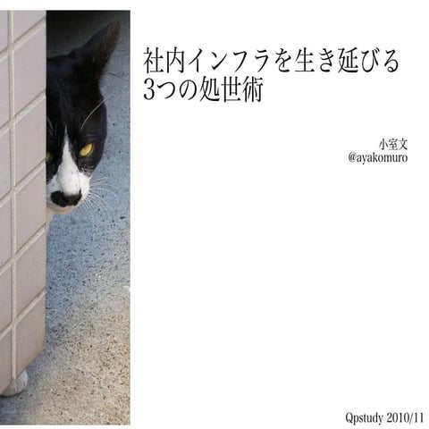 qpstudy-201011 | PPT