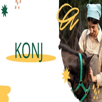 Konj porijeklo i podjjela konja sa slikama.pptx