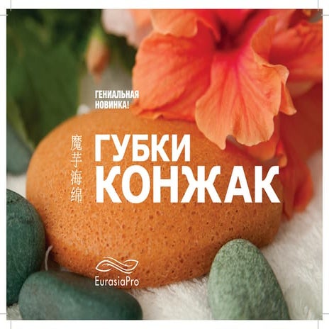 Konjac booklet print | PPT