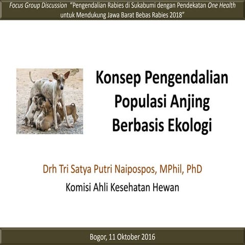 Mengenal Ekolokasi Pada Hewan Beserta Cara Kerjanya – SPHPVM