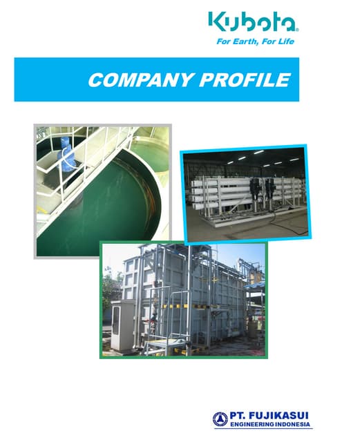 Cetamine f 310 en | PDF