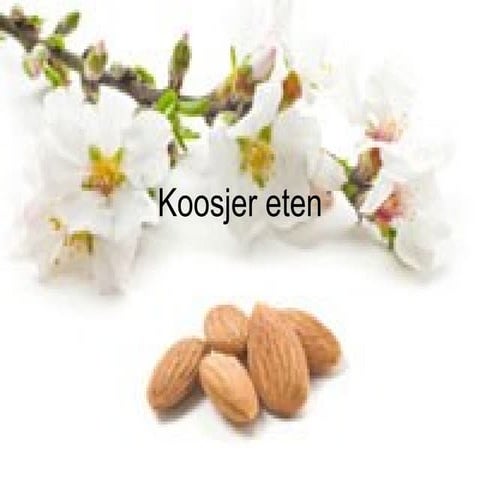 Joden Koosjer Eten