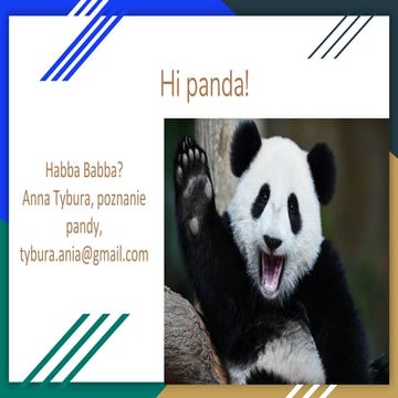 Hi Panda! | PDF