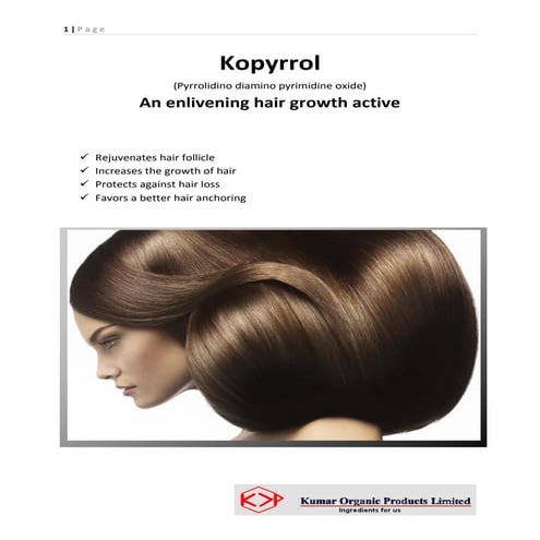 Kopyrrol brochure | PDF