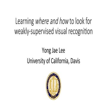 Learning where and how to look for weakly-supervised visual recognition ...