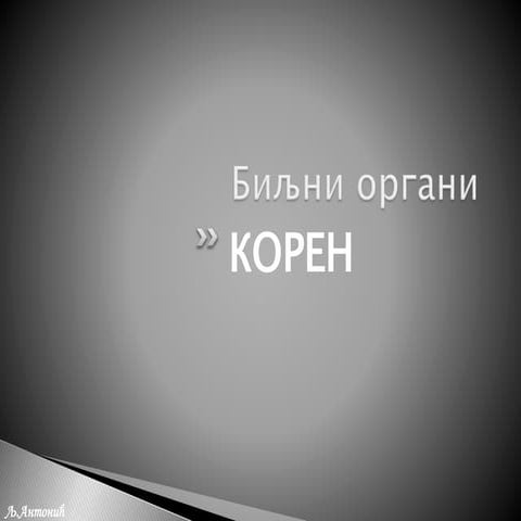 Gradja biljaka | PPTX