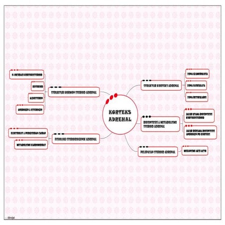 Korteks adrenal | PDF