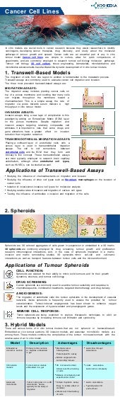 Cancer cell lines | PDF