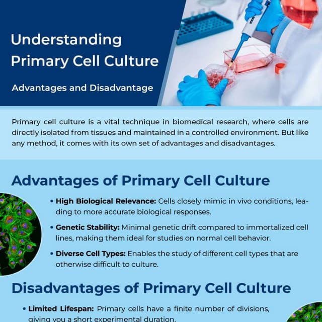 Understanding Primary Cell Culture: Advantages and Disadvantage | PDF
