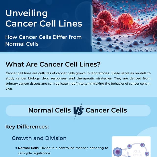 Unveiling Cancer Cell Lines: How Cancer Cells Differ from Normal Cells | PDF