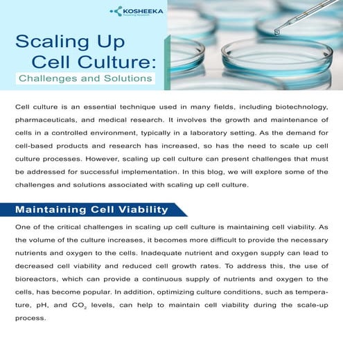 Challenges and Solutions of Scaling Up Cell Culture | PDF