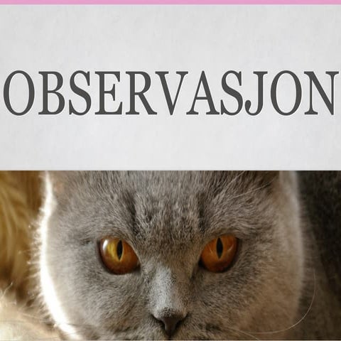 Kp 5 observasjon | PDF