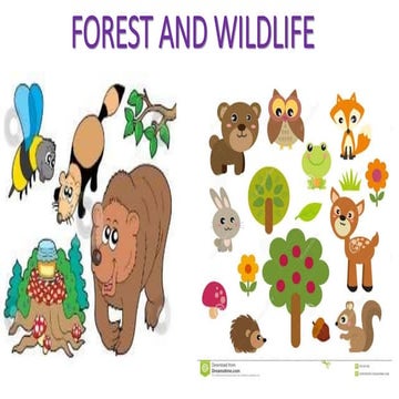 Forest and wild life resources | PPTX