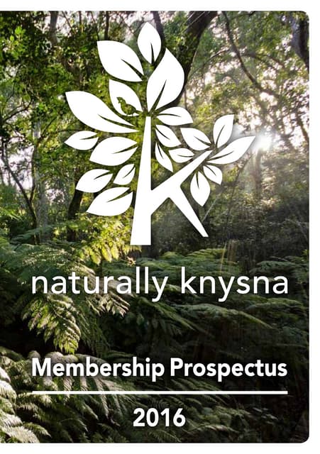 BNB Group - Company Profile | PDF