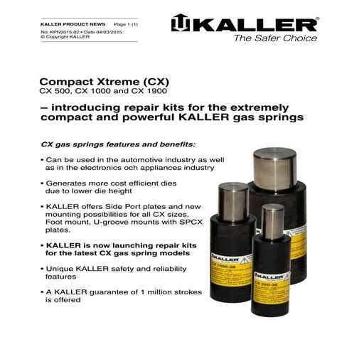 Kaller New Information | PDF