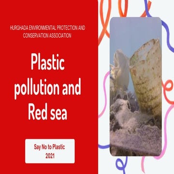 Red sea and plastic pollution | PDF