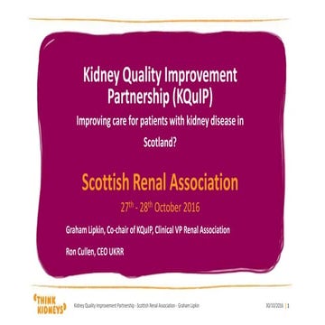 Think Kidneys programme update 2017 | PPTX