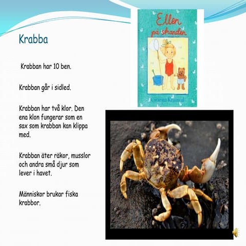 Krabba | PPTX