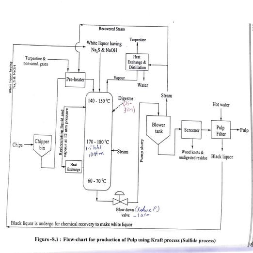 kraft process for Manufacturing of pulp.pdf