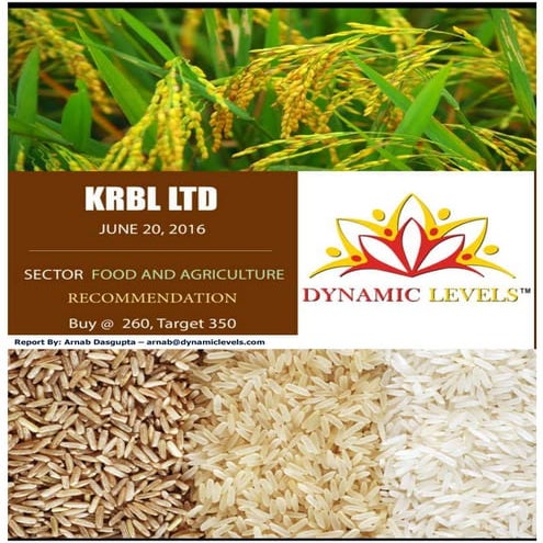 Krbl research-report-20062016 | PDF