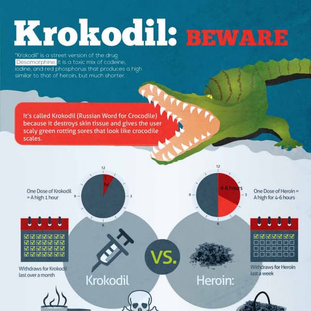 Krokodile Drug Use - Infographic | PDF