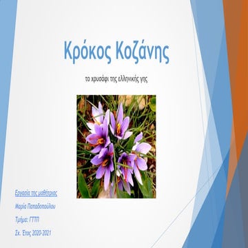 Κρόκος Κοζάνης | PDF