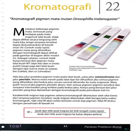 Kromatografi | PDF