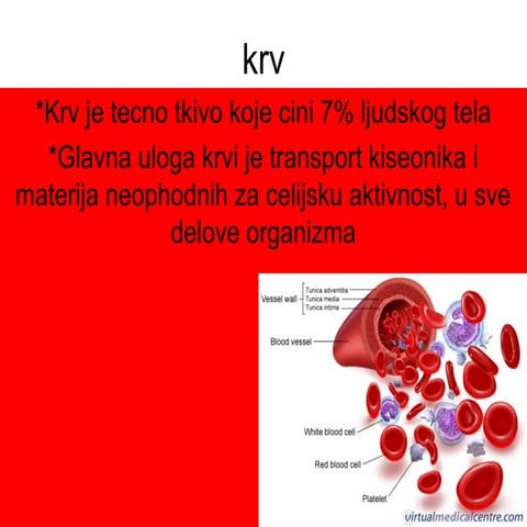 Krv | PPT