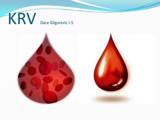Krv | PPT