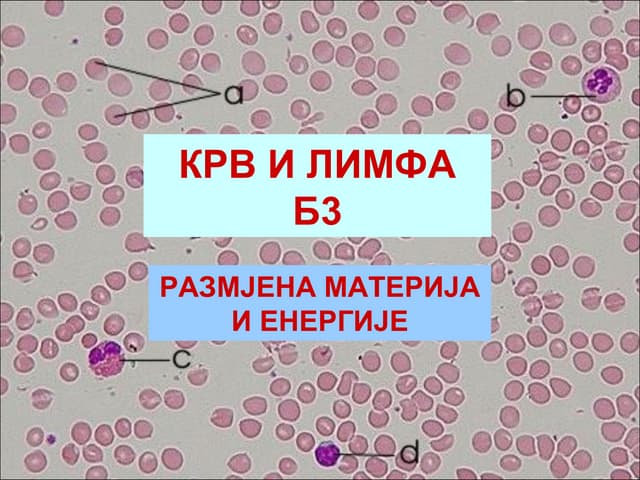 Građa ćelije - 7. razred, Dunja Ercegovčević | PPTX