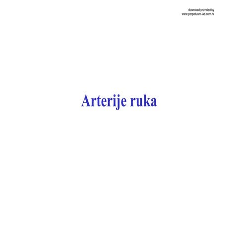 Arterije ruka | PDF