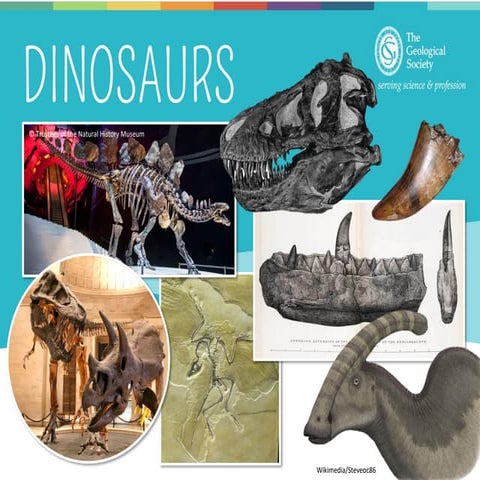 Dinosaurs ppt with info | PPT