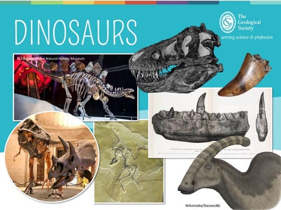 History of dinosaurs | PPT