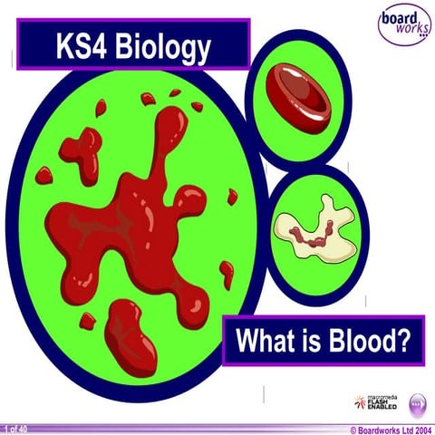 Ks4 what is blood | PPT